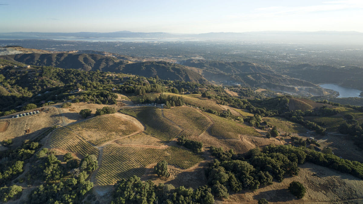 Ridge Vineyards Pagani Ranch Zinfandel 2022 - USA - Voyageurs du Vin